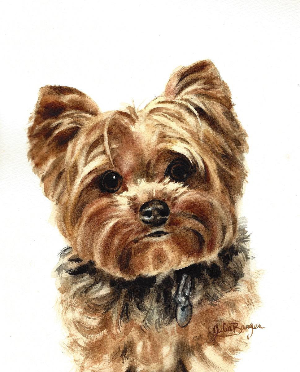 How to Commission a Custom Pet Portrait – Julia Barger Art