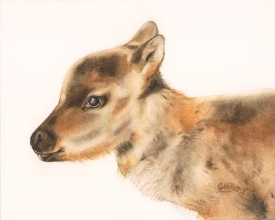 Luna - Original Watercolor – Julia Barger Art